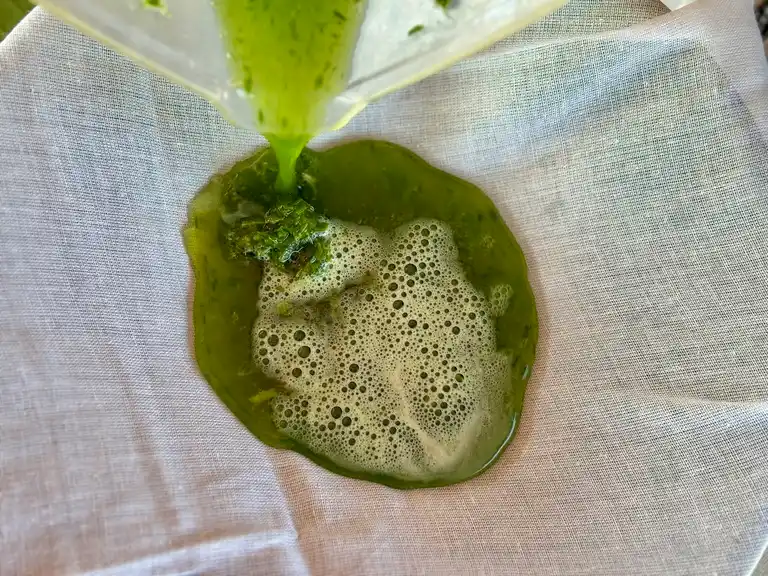 Best Pandan Syrup Recipe Quick And Easy Best Pandan Syrup Recipe Quick And Easy